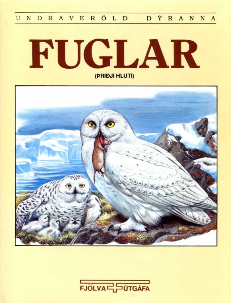 Undraveröld dýranna - Fuglar bók nr.11 - Bókalind antikbókabúð